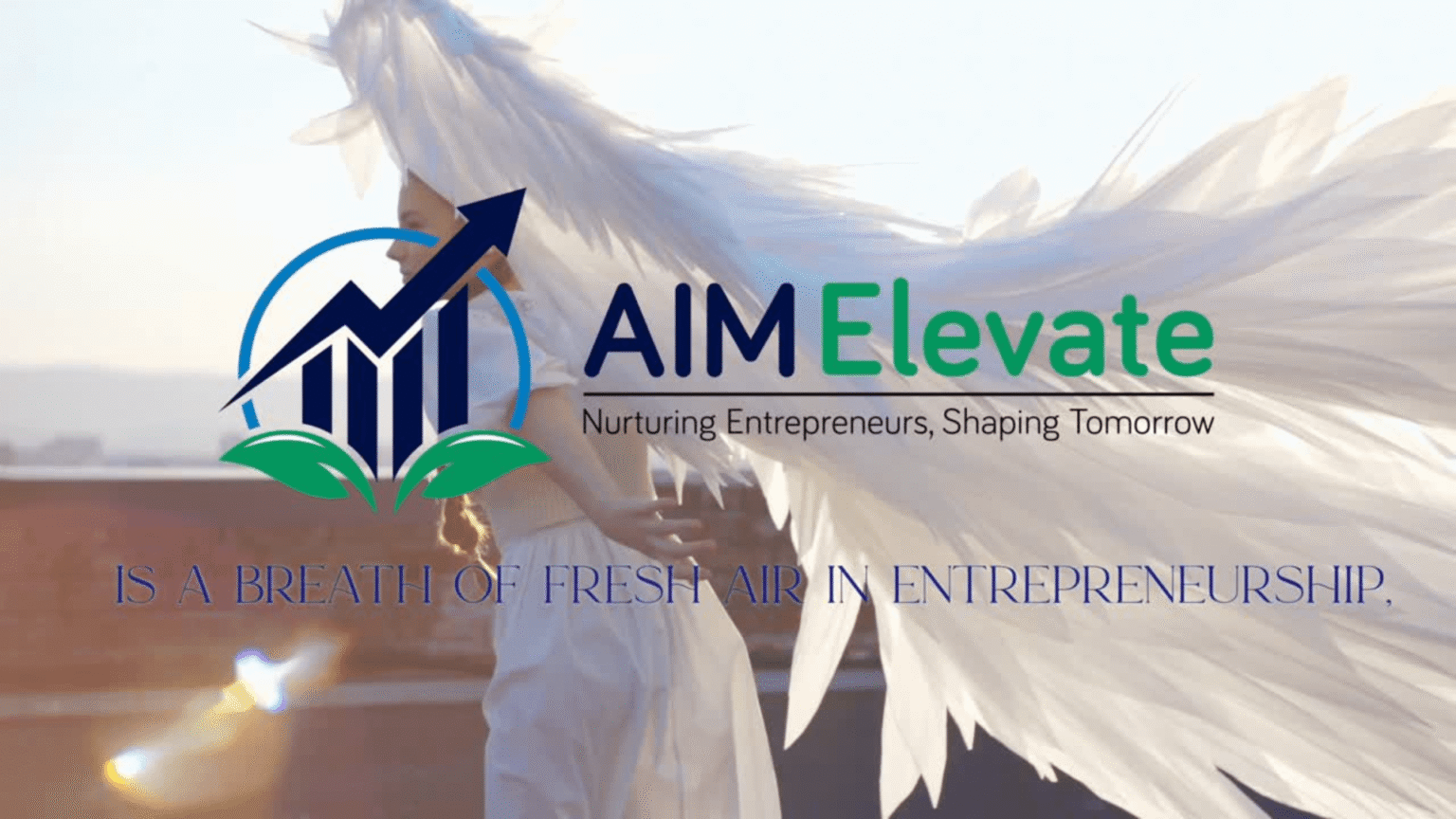 AIM Elevate - Nurturing Entrepreneurs, Shaping Tomorrow